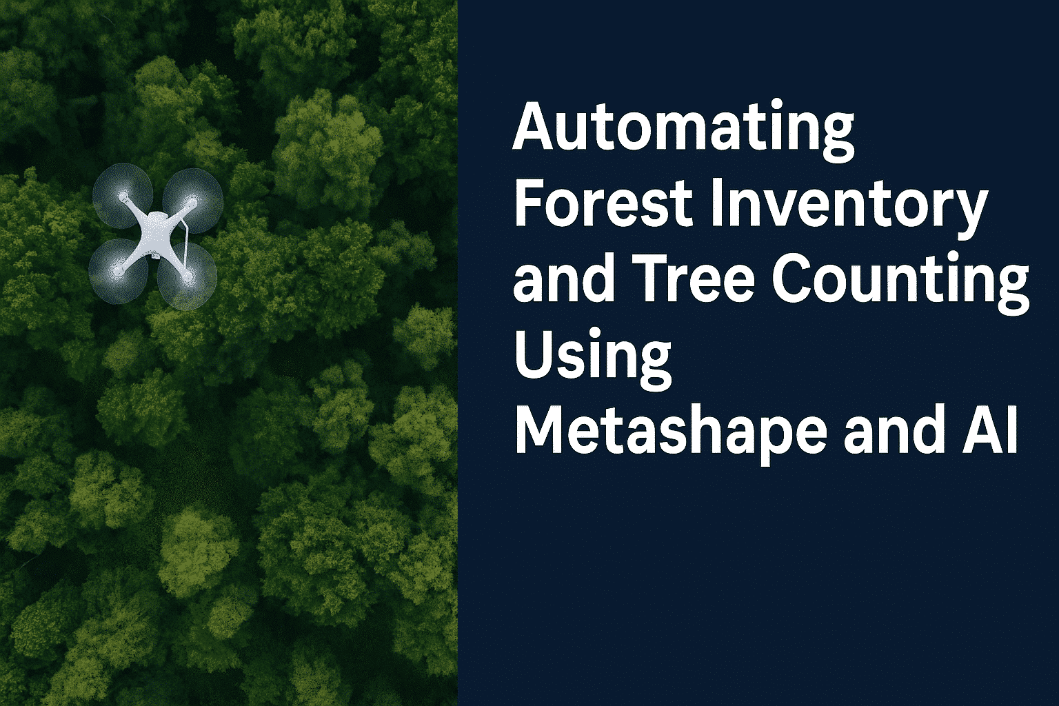 Automating Forest Inventory and Tree Counting with Metashape and AI: A ...